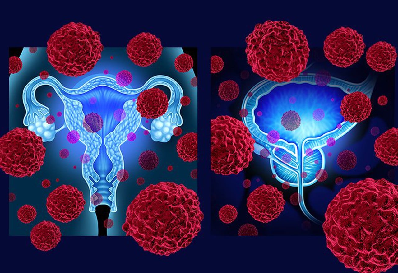 Hpv Virus De Papiloma Humano Y Formas De Tratarlo Pat