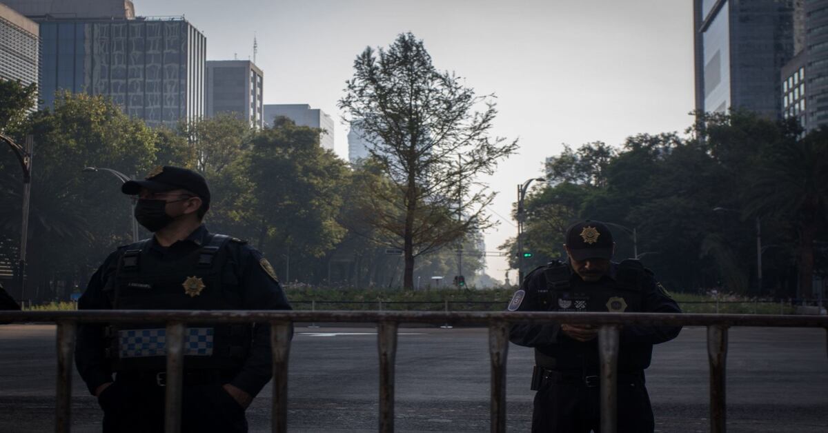 Ahuehuete es plantado en la antigua Glorieta de la Palma