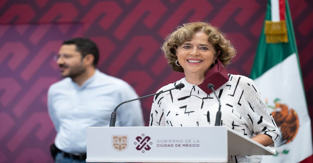 ¿Quién es Rosaura Ruiz Gutiérrez, la bióloga y catedrática que integra ...