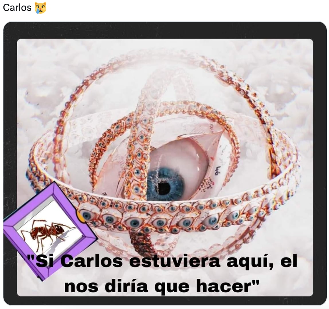 Los Memes De La Verdadera Forma De Cosmo Y Wanda De Los Padrinos