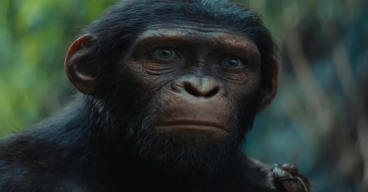 El Planeta de los Simios: Nuevo Reino revela el primer tráiler donde ...