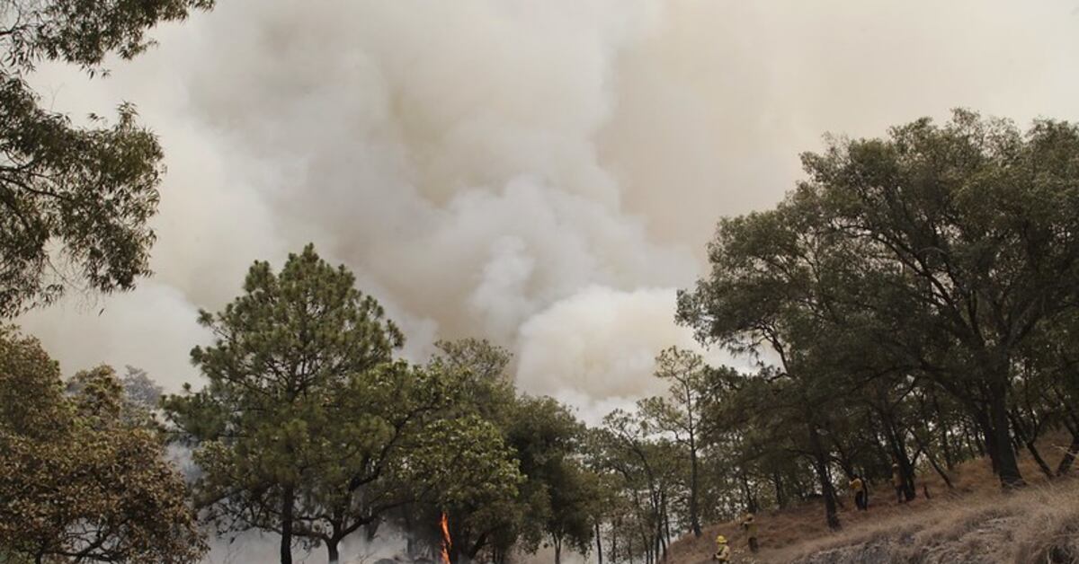 Incendio En Bosque La Primavera Se Mantiene Alerta Atmosférica En
