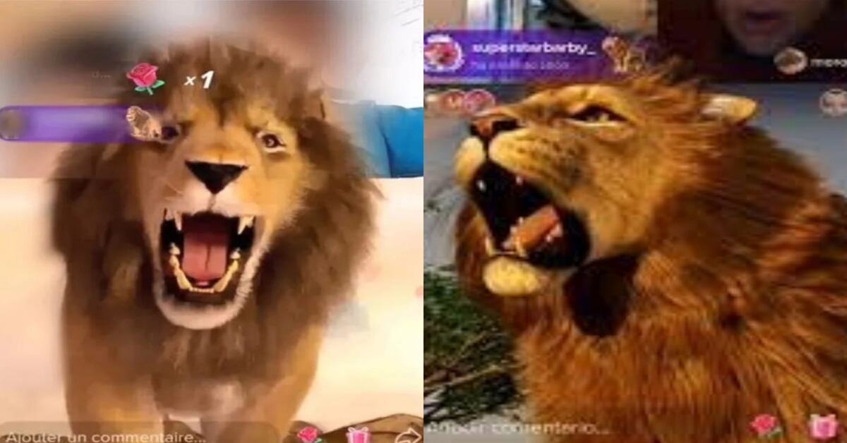 ¿Qué significa un león en TikTok? Uno de los regalos más costosos que ...