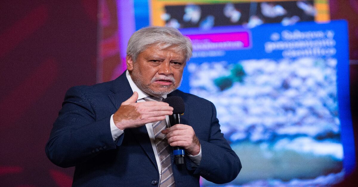 Matemáticas está presente de forma significativa en la propuesta ...