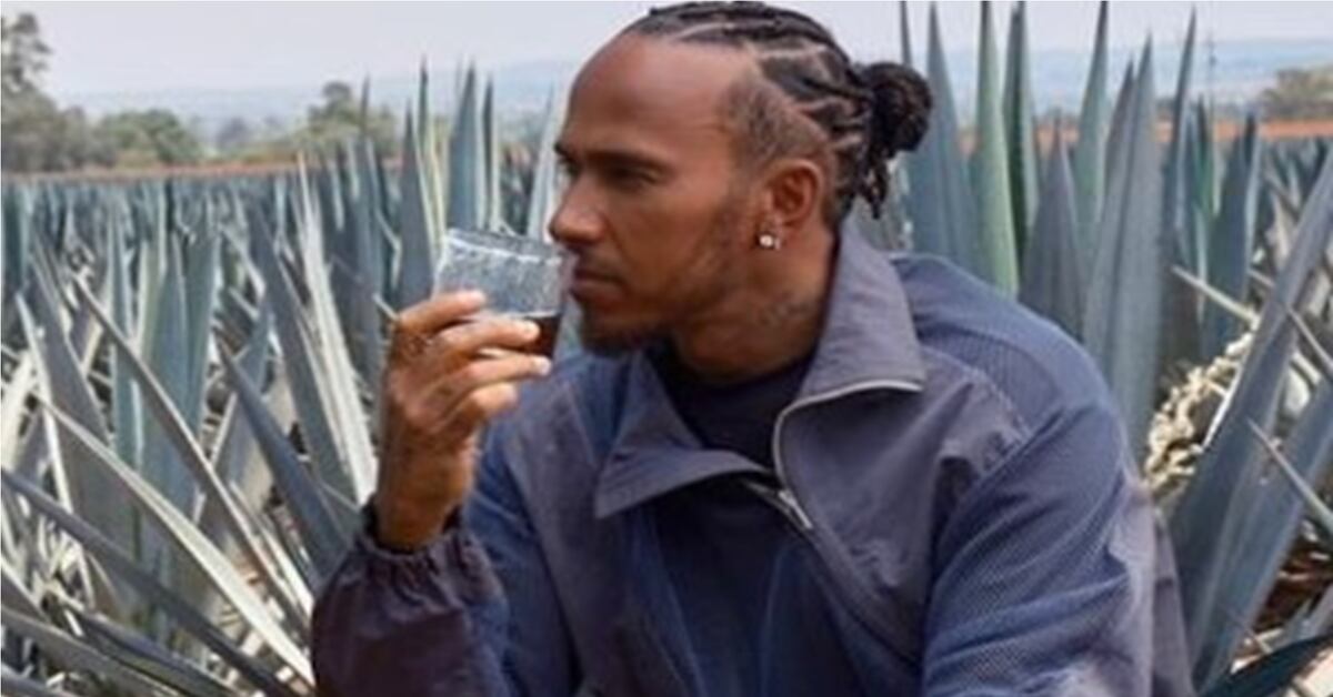 ¿Tequila de Lewis Hamilton? El piloto de la Fórmula 1 lanza una bebida ...