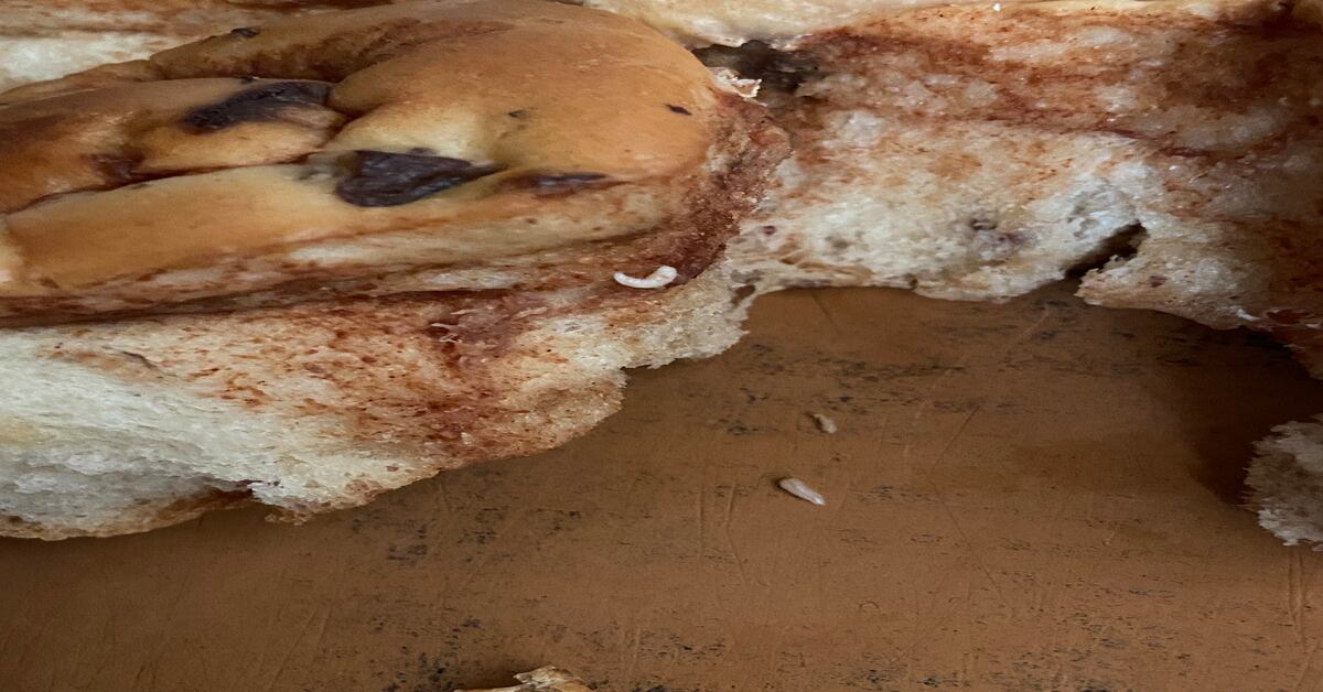 ¿Te salió pan dulce con gusanos en el empaque? Profeco te dice qué hacer