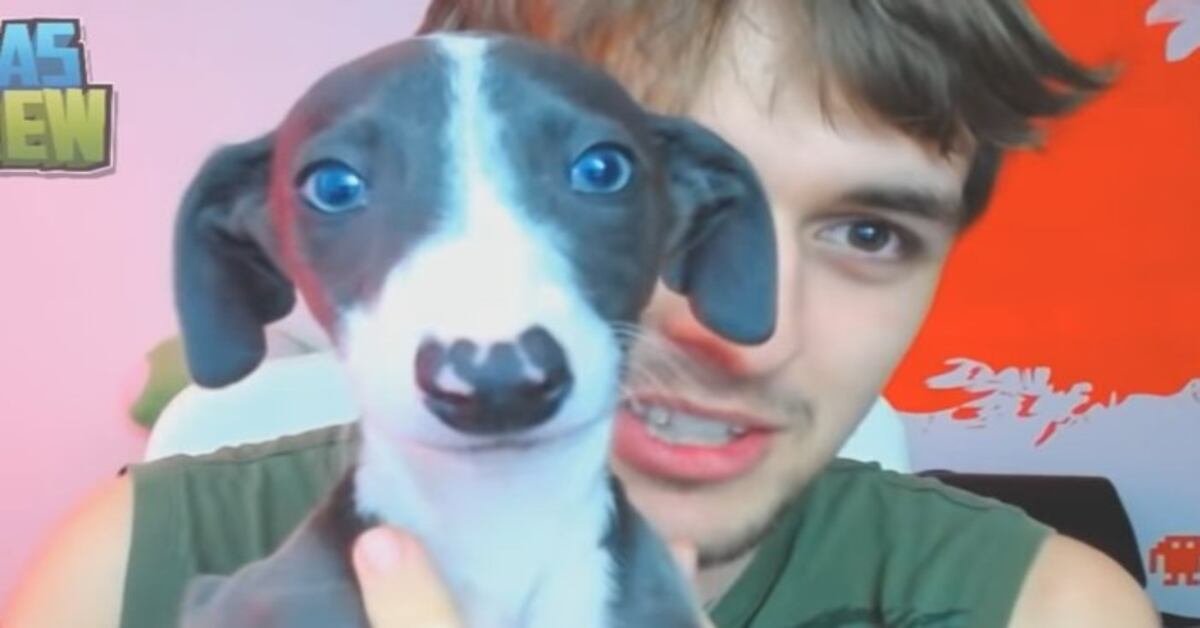 DalasReview: Esto pasó con Argos